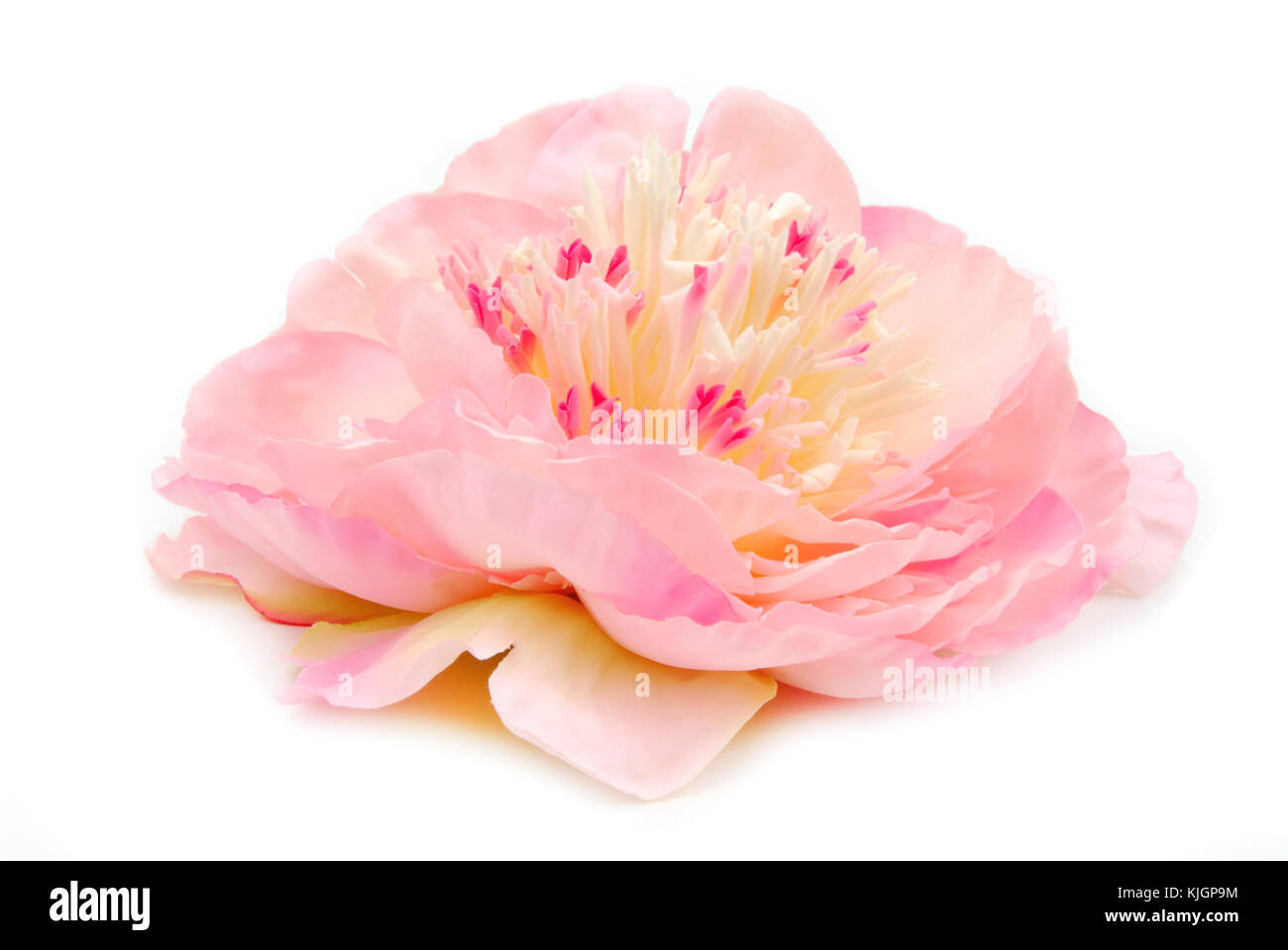 Soft pink white floral Cut Out Stock Images & Pictures - Alamy