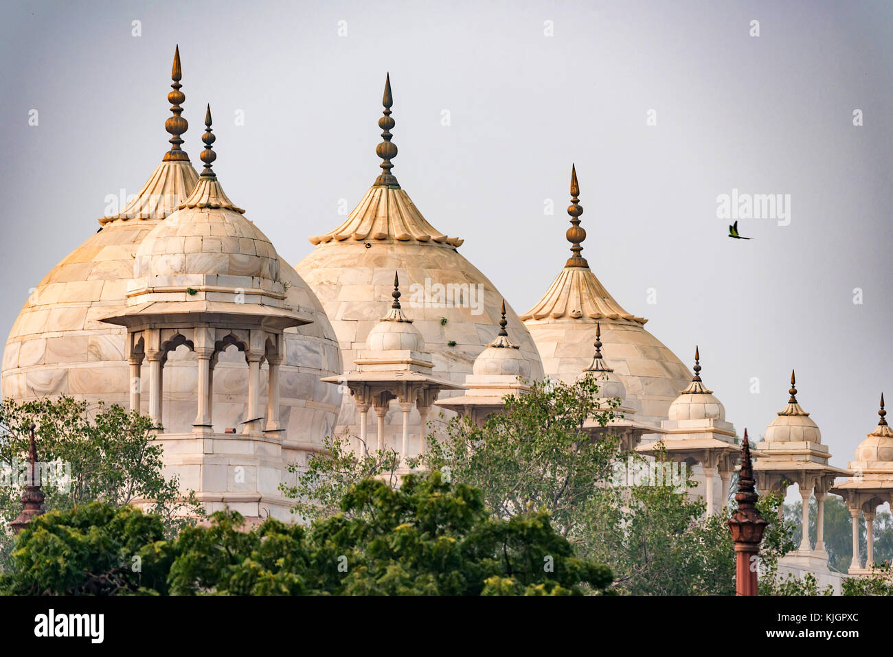 Moti masjid hi-res stock photography and images - Alamy