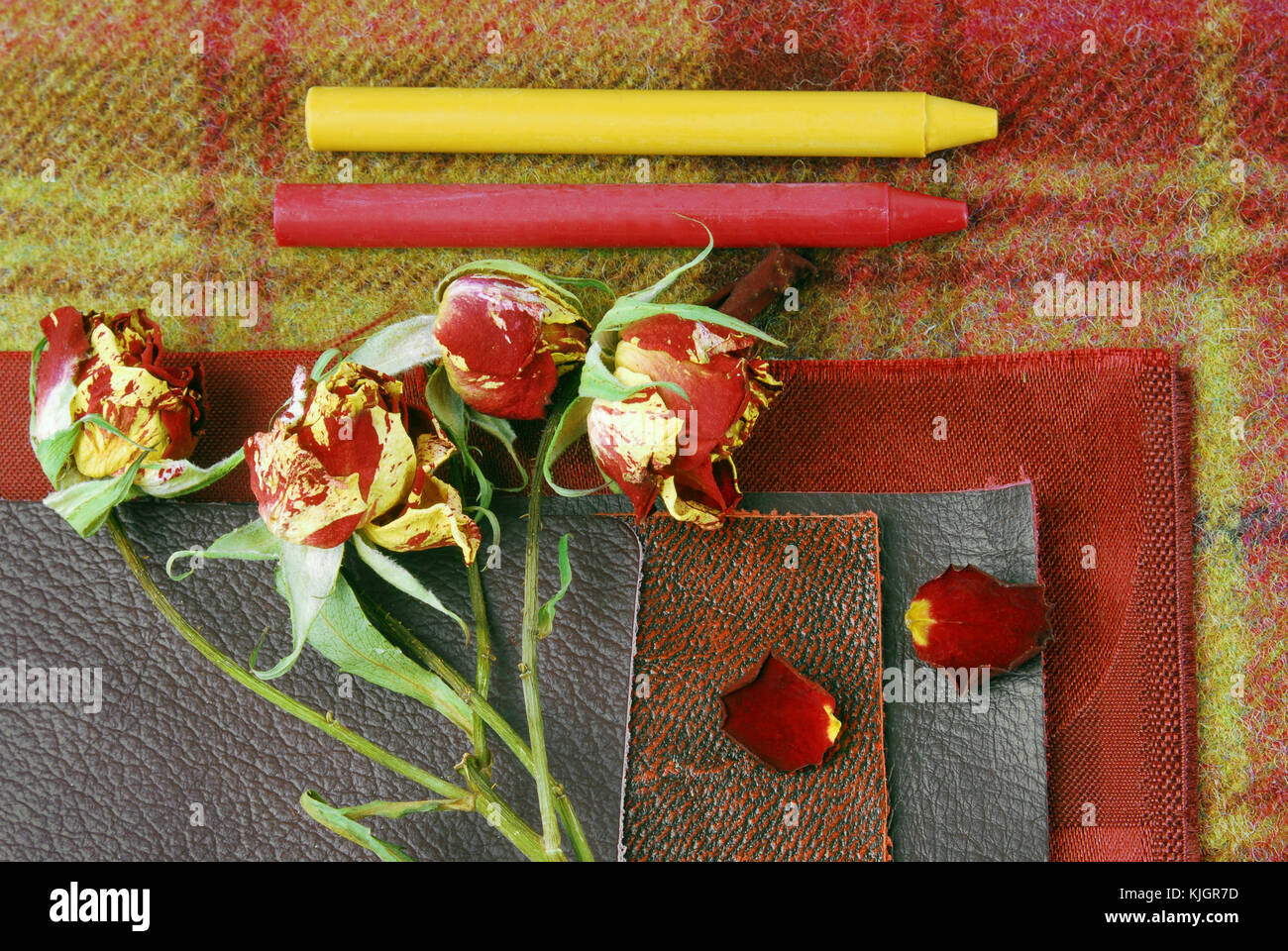 color harmonisation for interior Stock Photo - Alamy