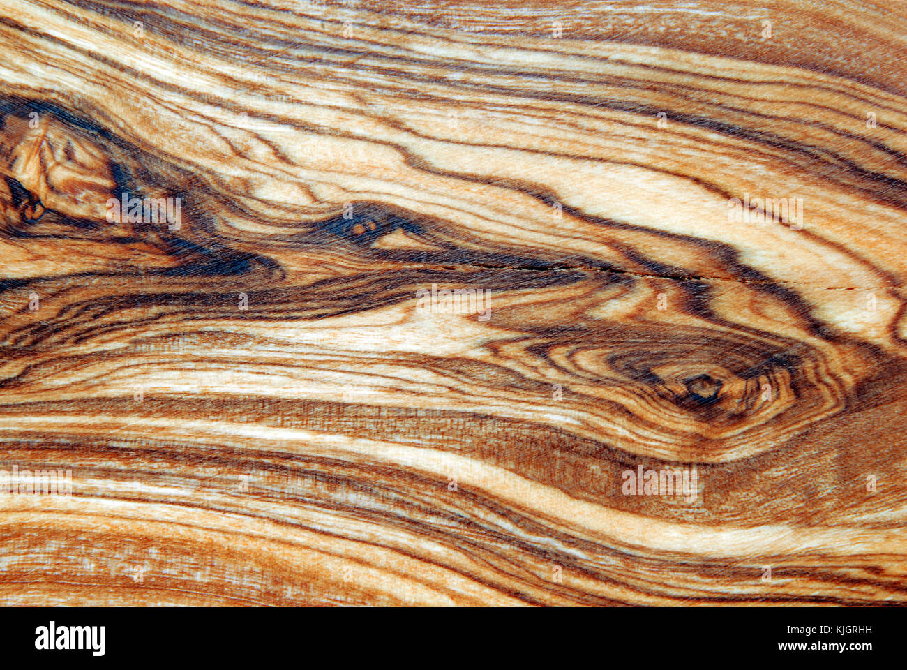 closeup of the olive tree texture background Stock Photo - Alamy