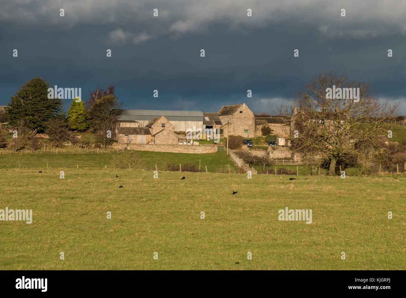 Teesdale landscape, November 2017, West Middleton farm from Hutton ...
