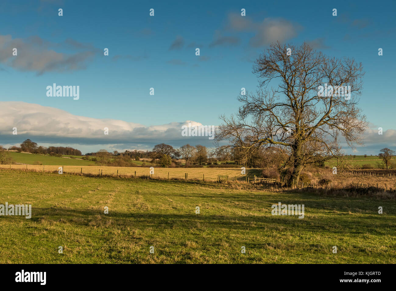 Teesdale landscape, November 2017, looking east from Hutton Magna ...