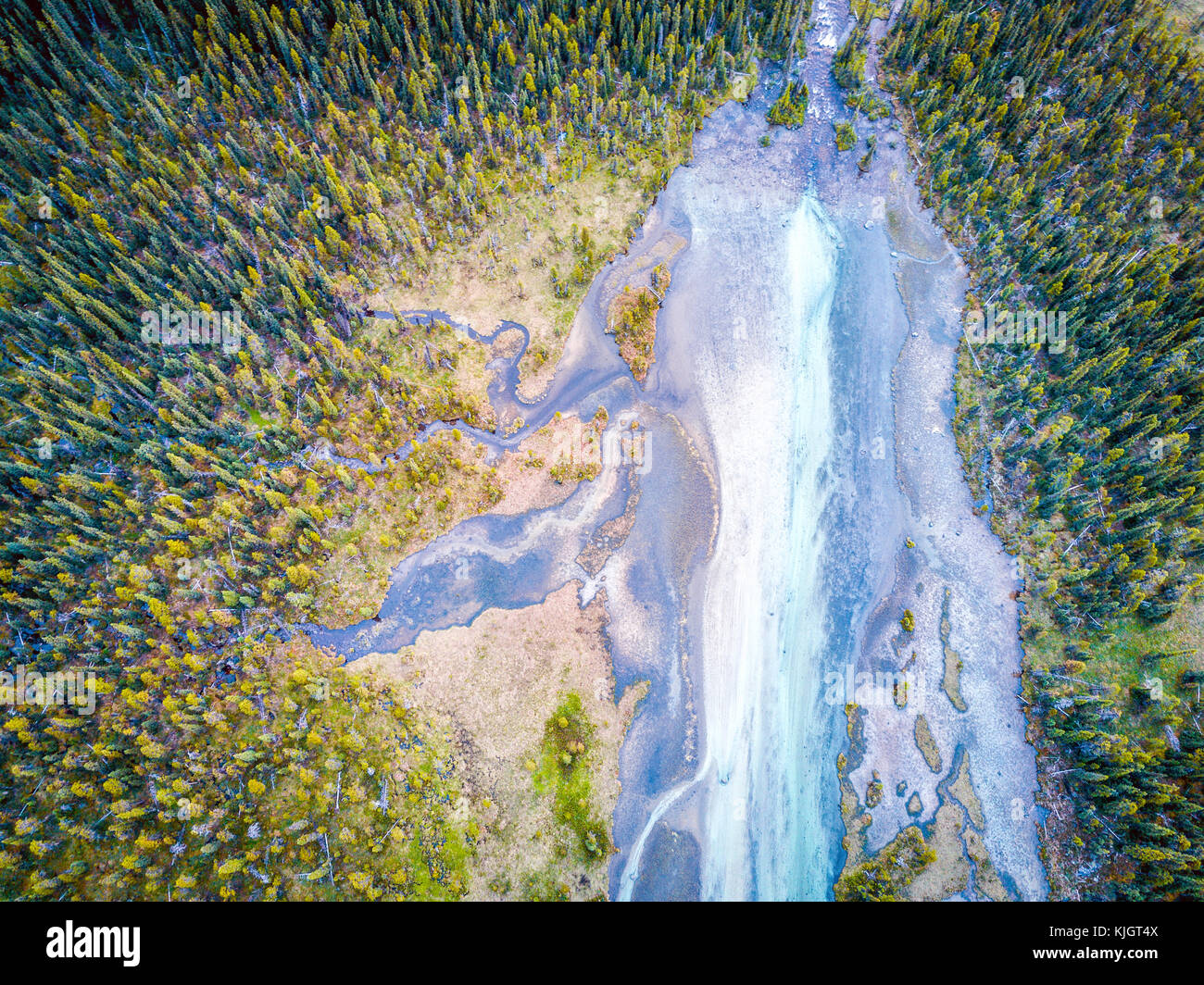 Aerial view of Bow river tributary in forest of Rockies Mountains ...