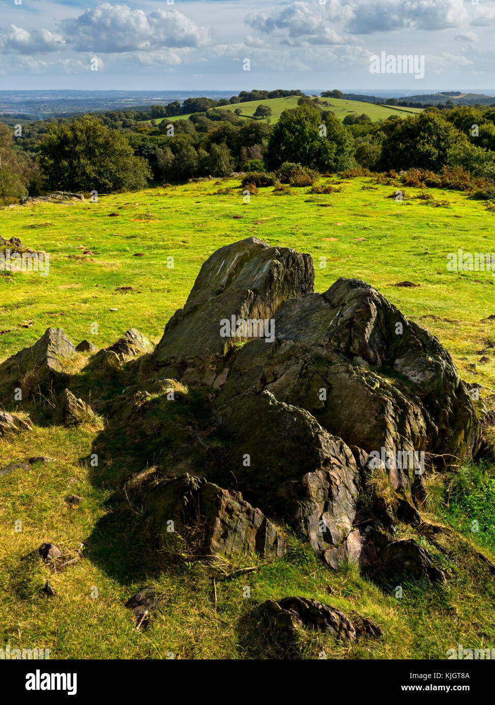 Beacon hill uk national forest hi-res stock photography and images - Alamy