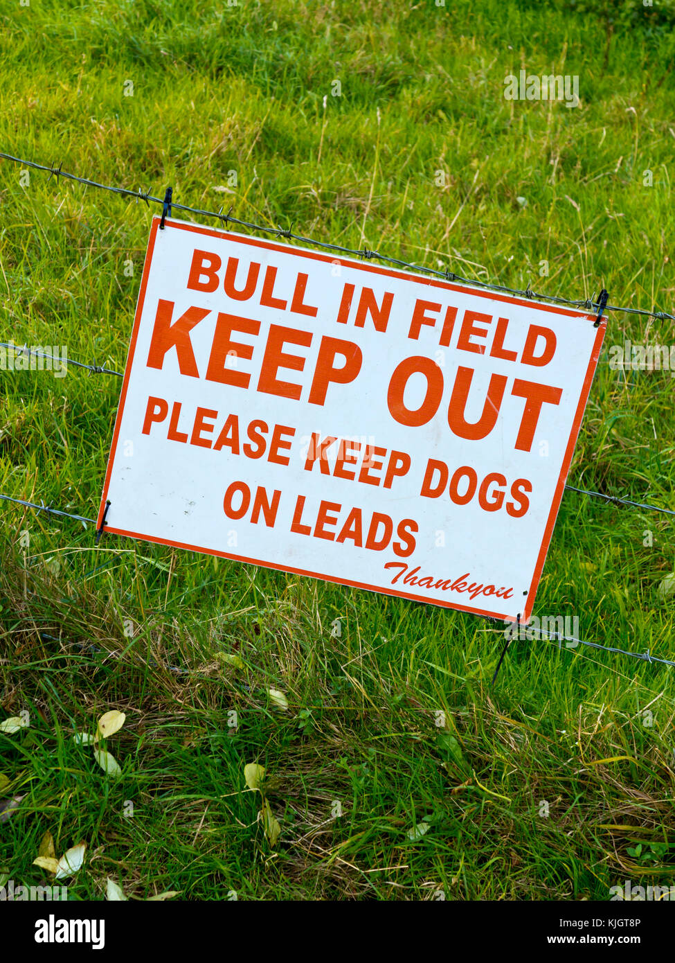 Bull in Field Keep Out Please Keep Dogs on Leads warning sign on a farm ...