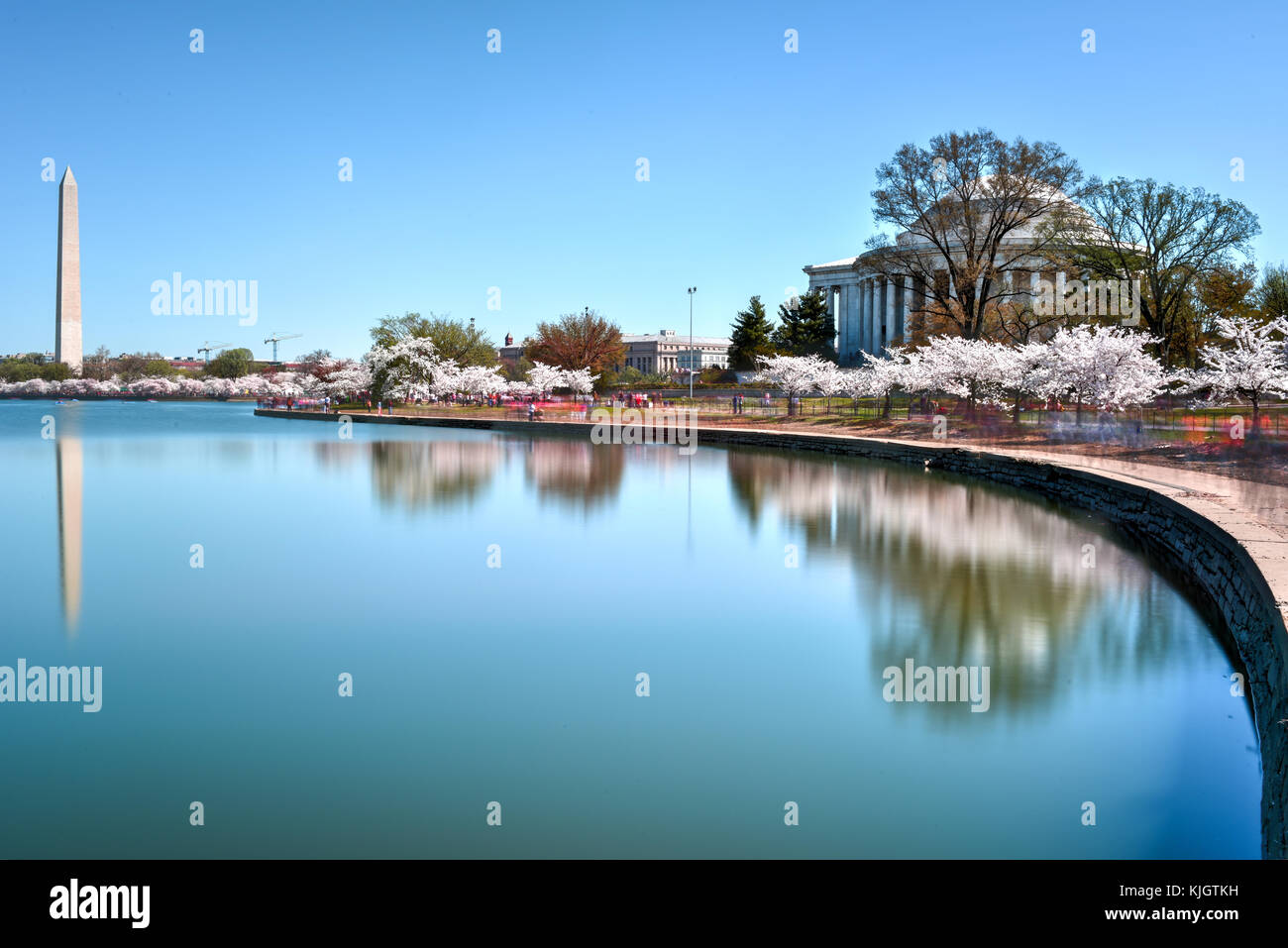 Jefferson Memorial during the Cherry Blossom Festival. Washington, DC Stock Photo - Alamy