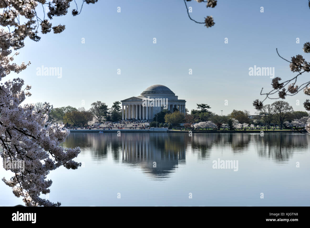 Jefferson Memorial during the Cherry Blossom Festival. Washington, DC Stock Photo - Alamy