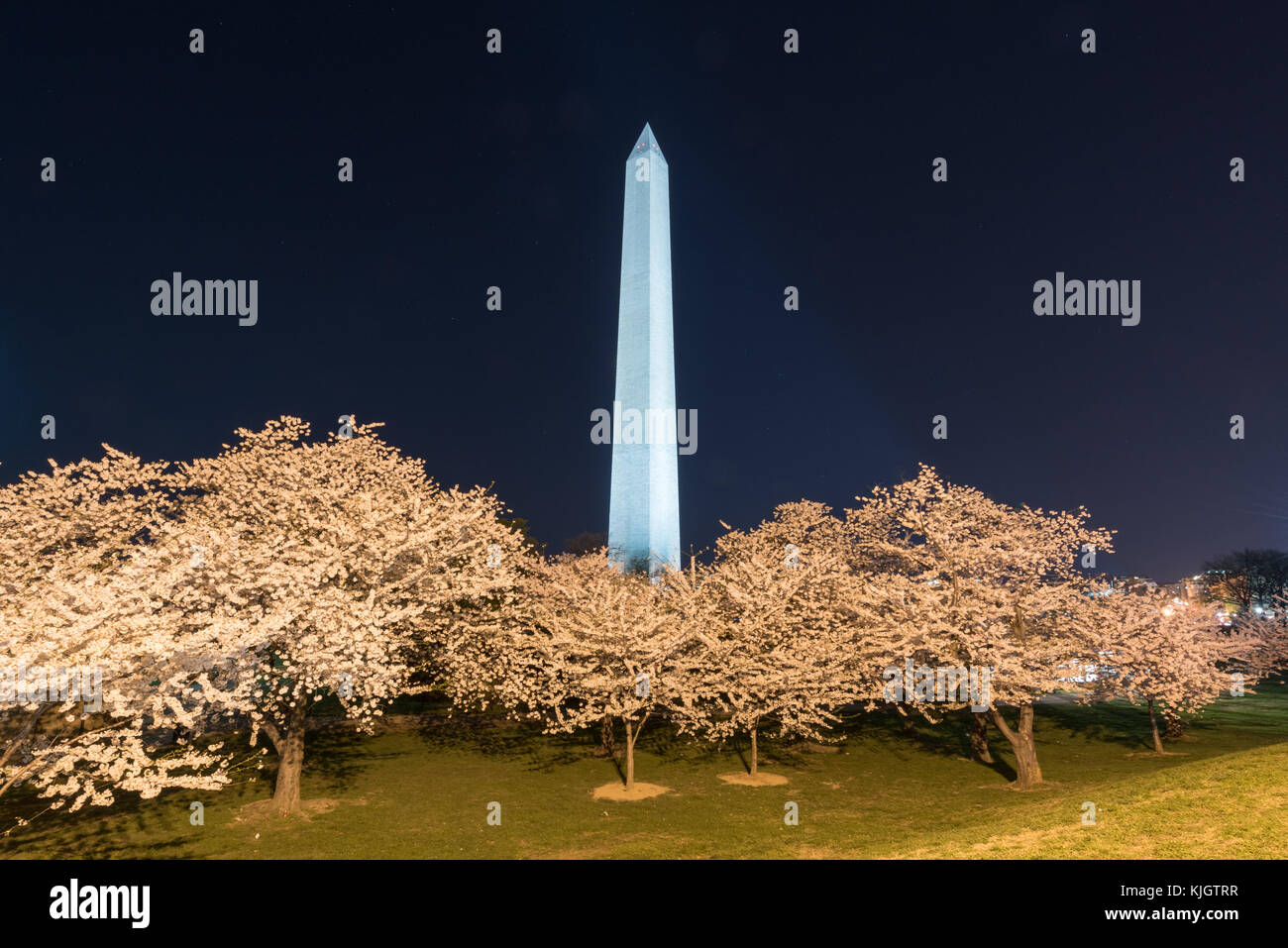 Washington dc cherry blossoms night hi-res stock photography and images ...
