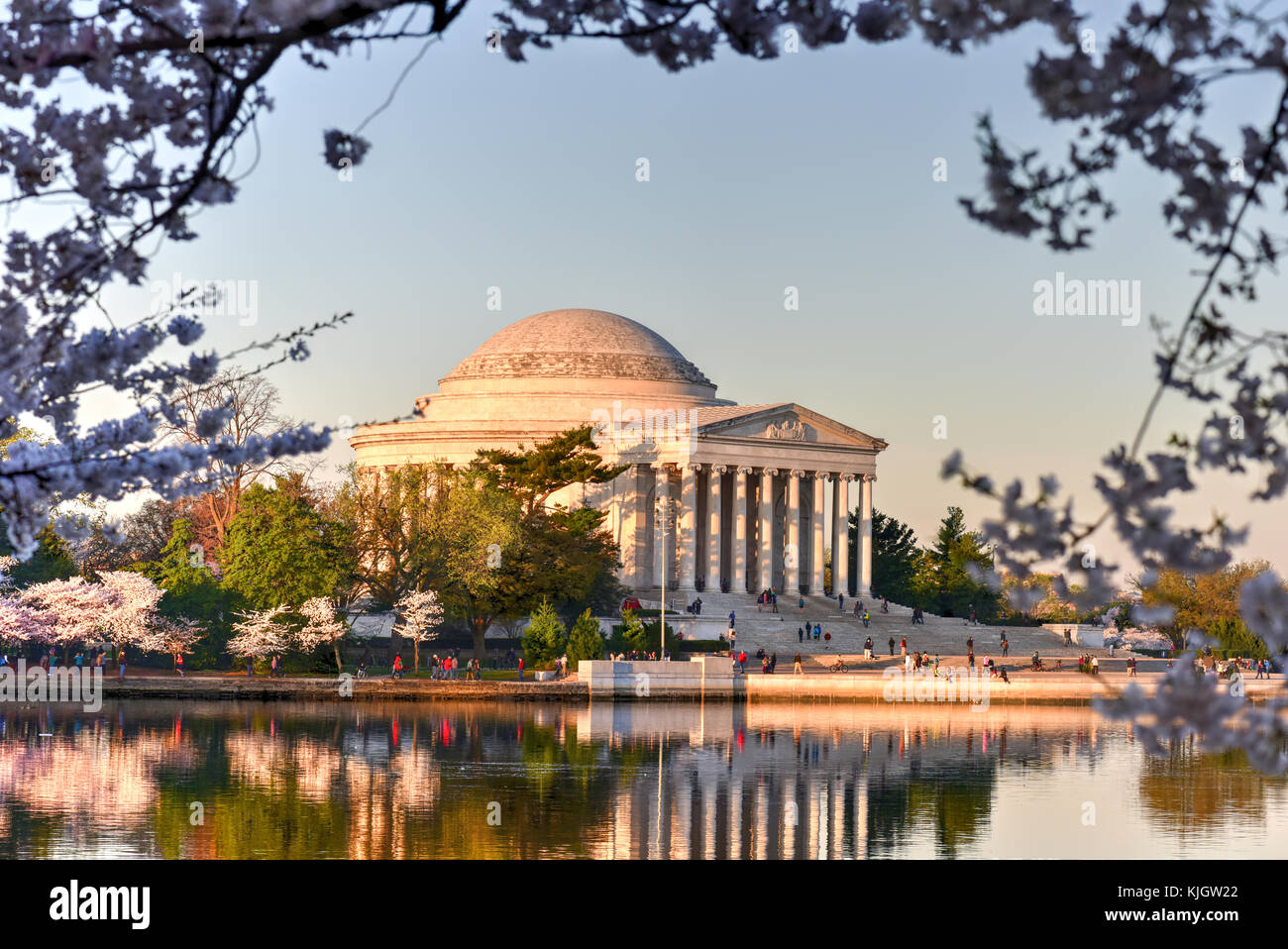 Jefferson Memorial during the Cherry Blossom Festival. Washington, D.C Stock Photo - Alamy