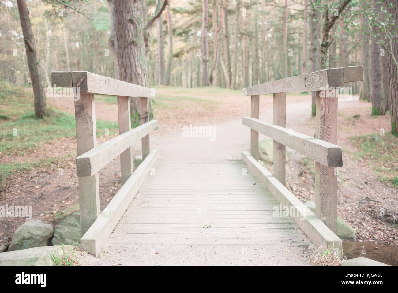 Wooden bridge in a park Stock Photo - Alamy