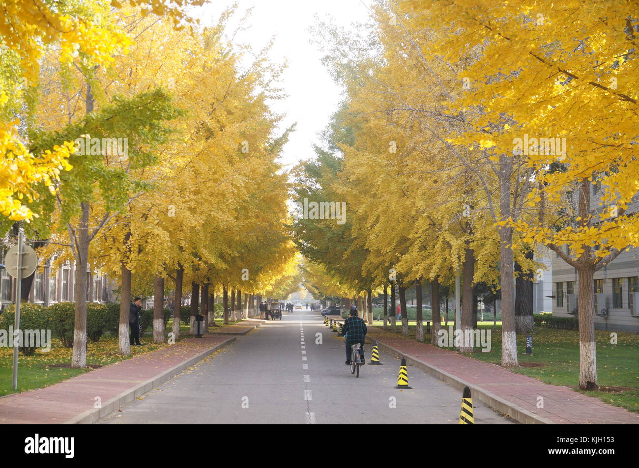Beijin, Beijin, China. 24th Nov, 2017. Beijing, CHINA-November 2017 ...