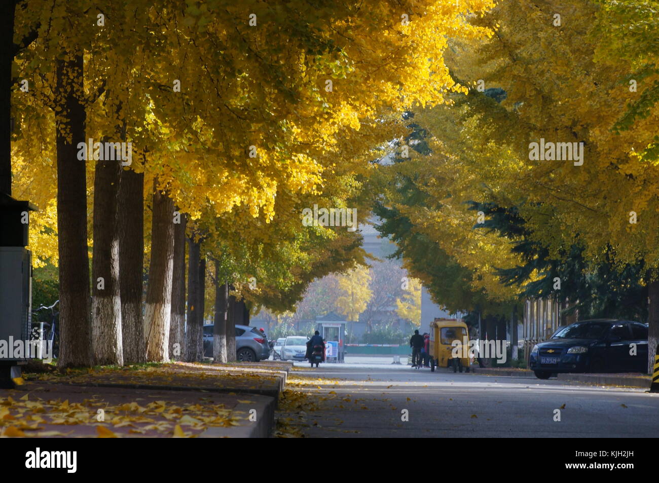 Beijin, Beijin, China. 24th Nov, 2017. Beijing, CHINA-November 2017 ...