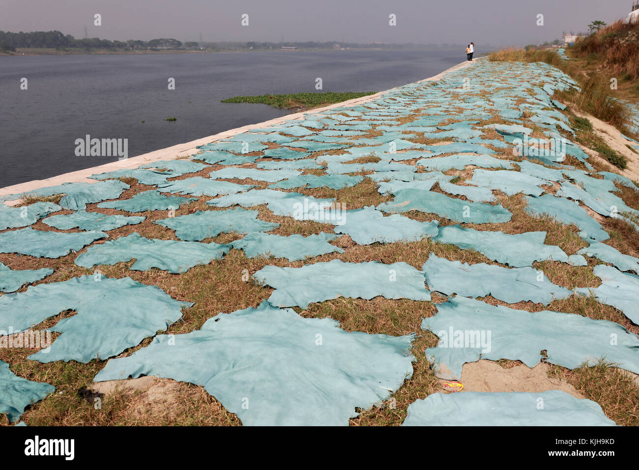 Dhaka, Bangladesh. 25th Nov, 2017. Processed lather dries under the sun ...