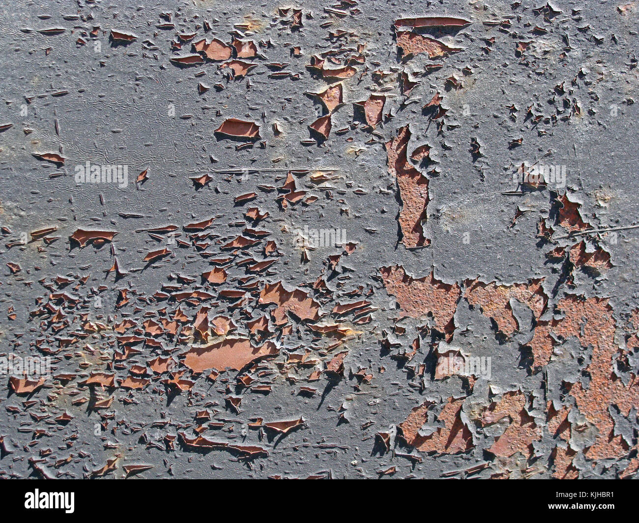 Brown rusty metal sheet with peeling black paint surface texture for ...
