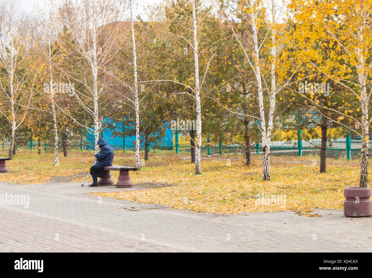 The old woman hunched with a cane sitting on a Park bench Stock Photo ...