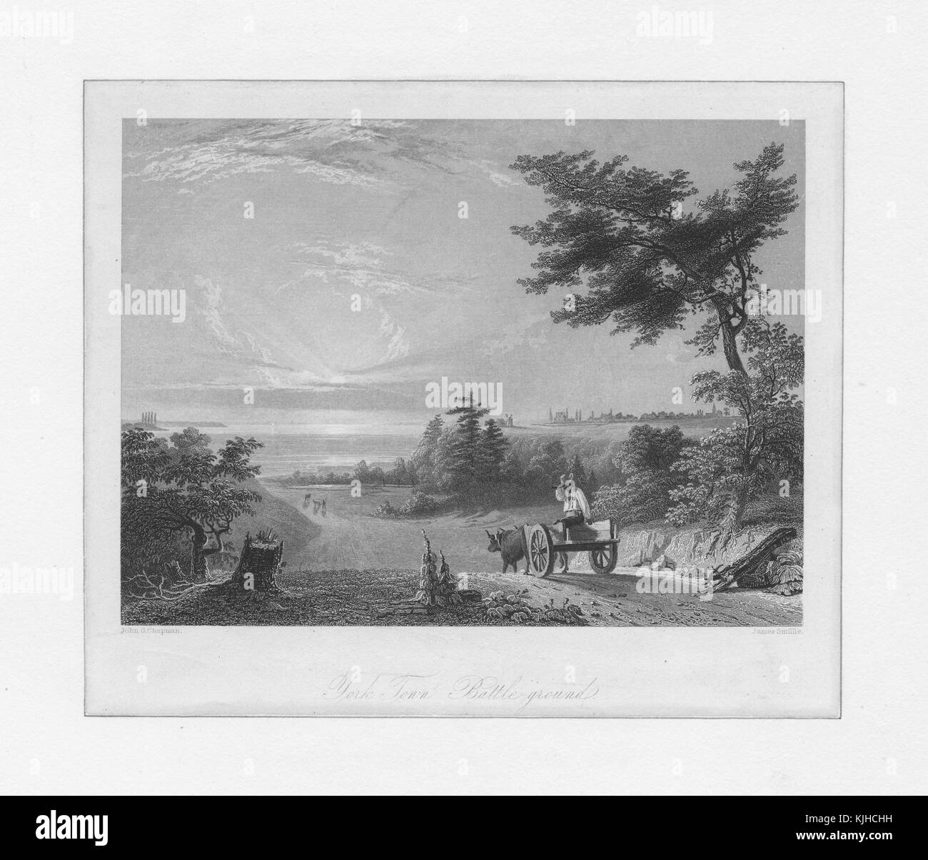 Engraved field animal Black and White Stock Photos & Images - Alamy