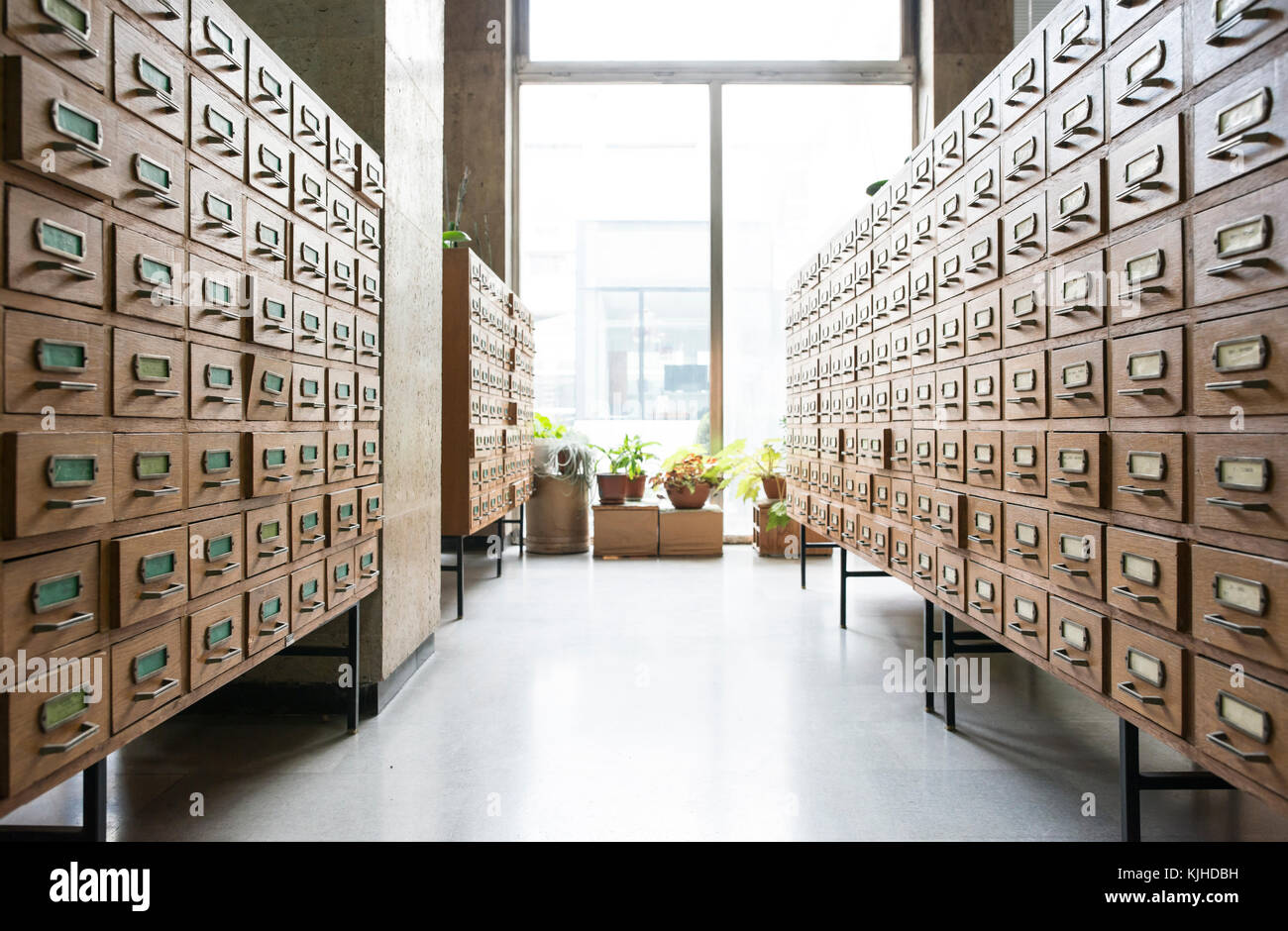 Drawers in archive. Wooden shelves Stock Photo - Alamy