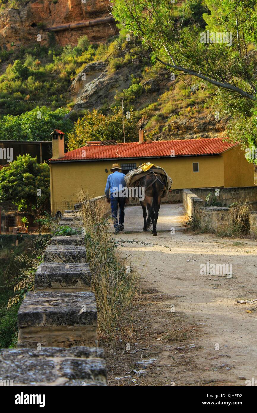 Man and donkey in rural landscape Stock Photo - Alamy
