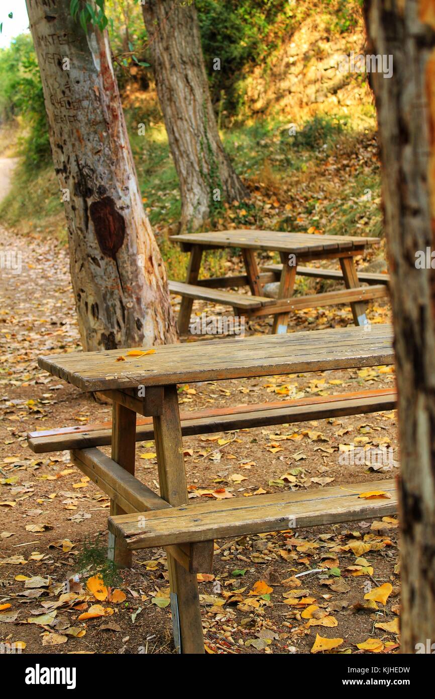 Wooden benches in the forest Stock Photo - Alamy