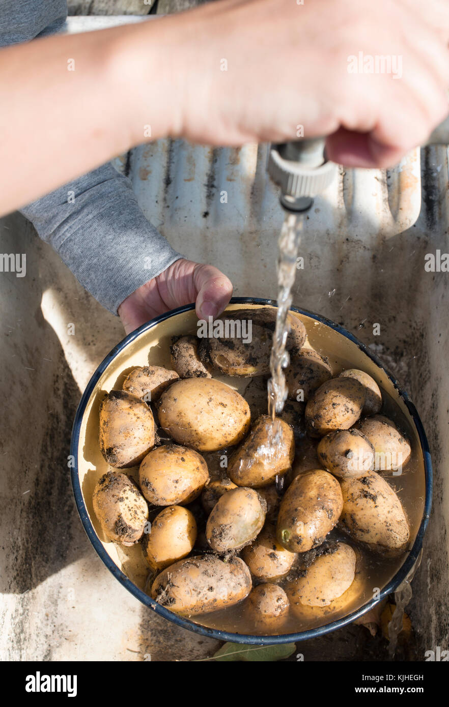 Wash potatoes in home garden sink fountain Stock Photo - Alamy