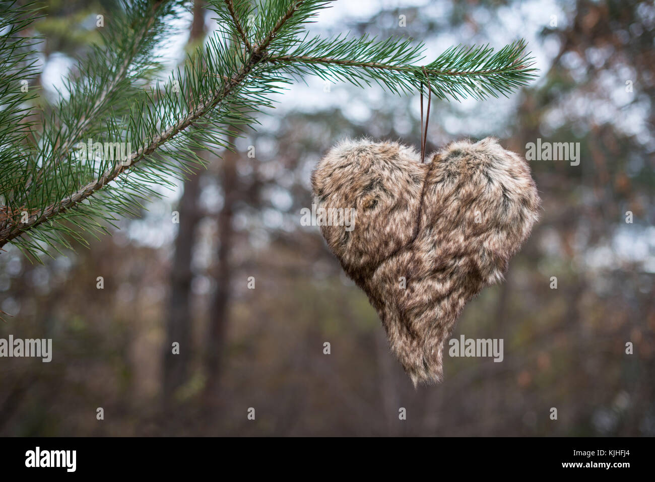Hooked heart hi-res stock photography and images - Alamy