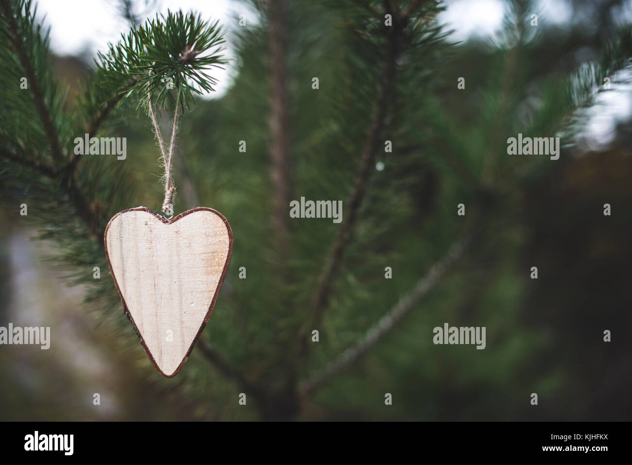 Wooden heart shape on fir in the forest Stock Photo - Alamy