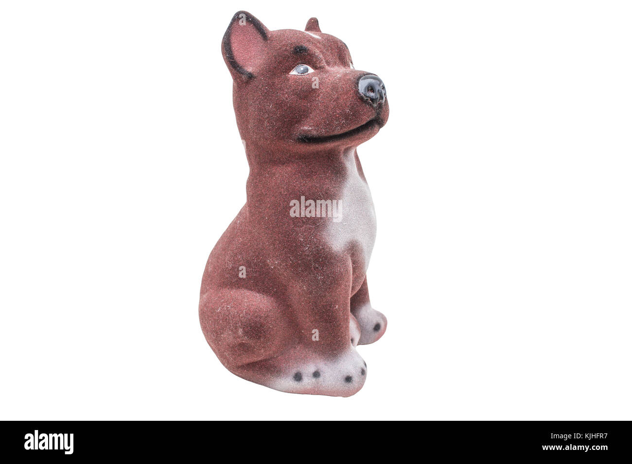 Very sweet little dog Stock Photo - Alamy