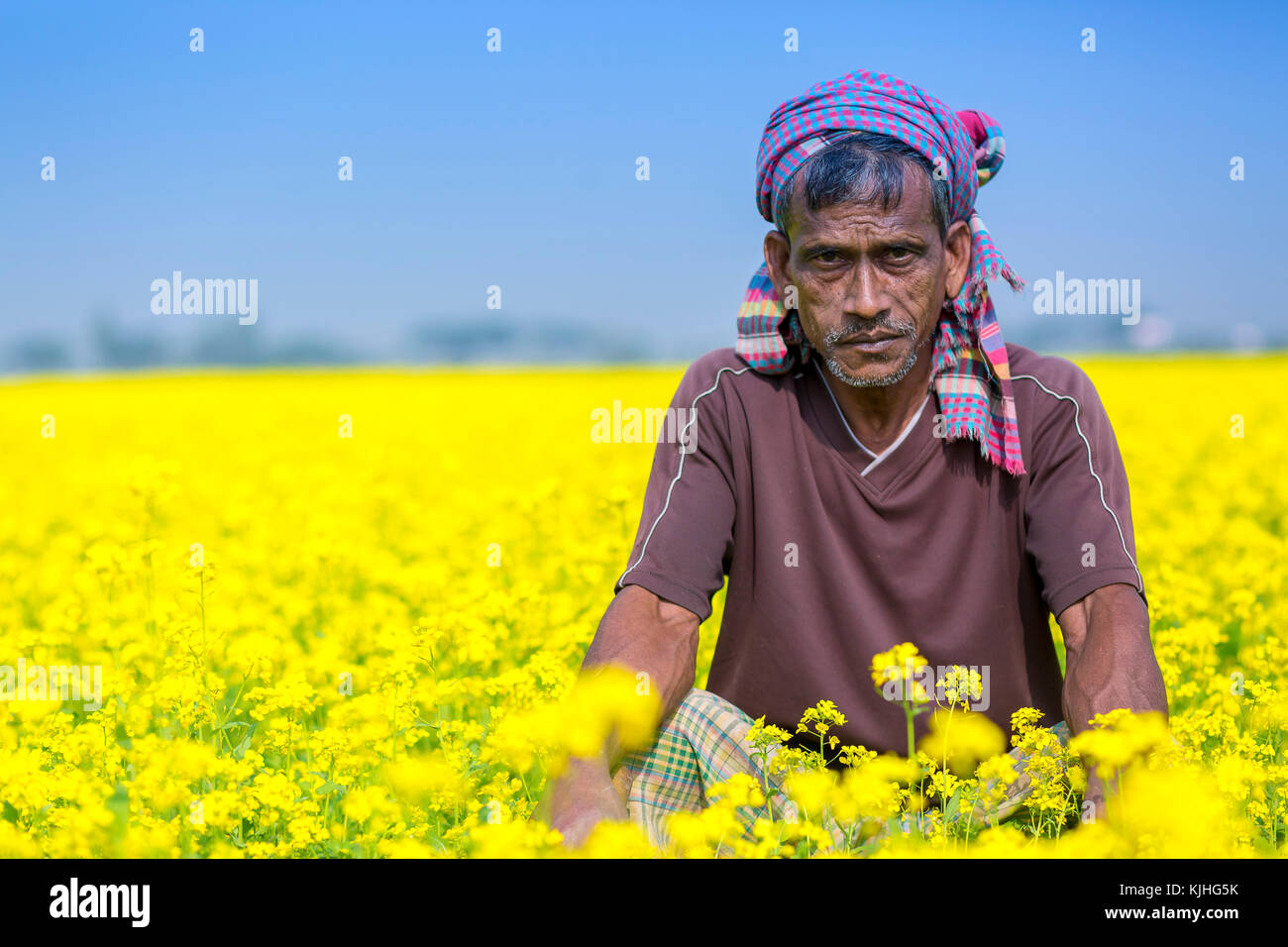 Full blooming mustard field and A farmer at Sirajdhikha, Munshigonj ...