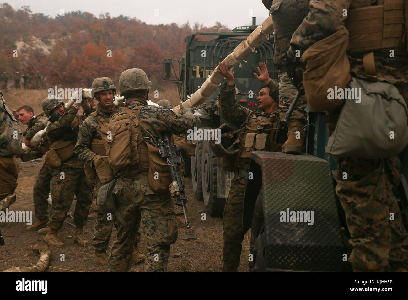 Combat engineers with Engineer Support Company, 9th Engineer Support ...