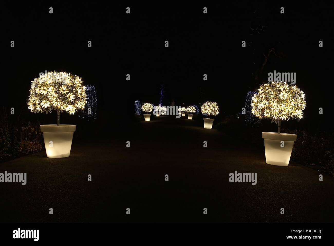 Christmas at Kew Stock Photo - Alamy