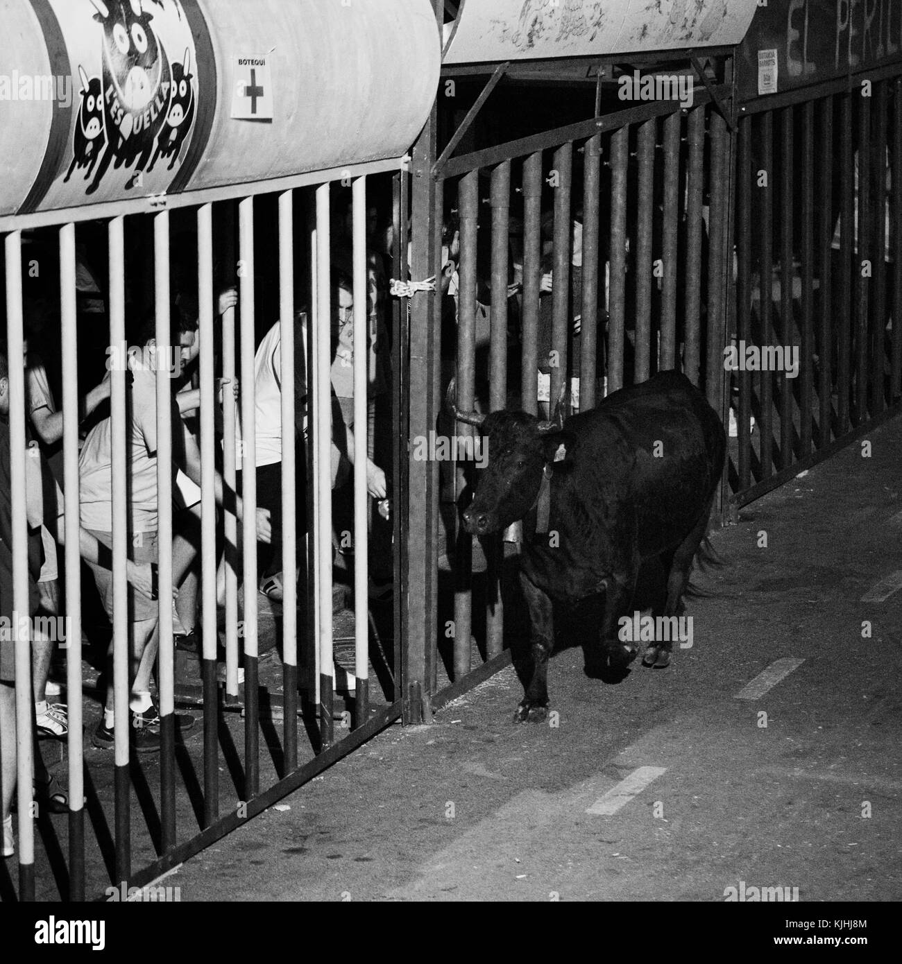 Evening run running Black and White Stock Photos & Images - Alamy