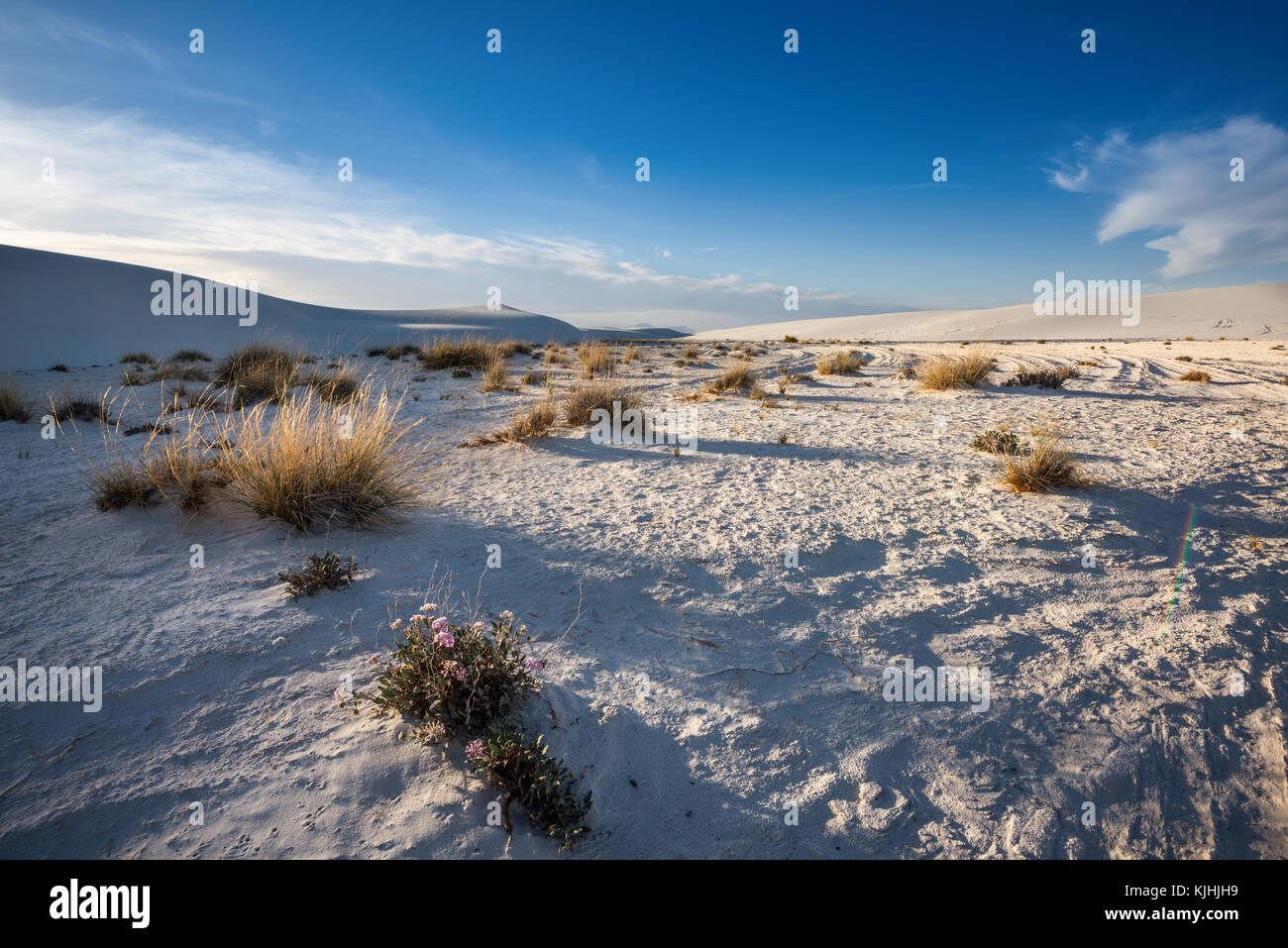 The unique and beautiful White Sands National Monument in New Mexico ...