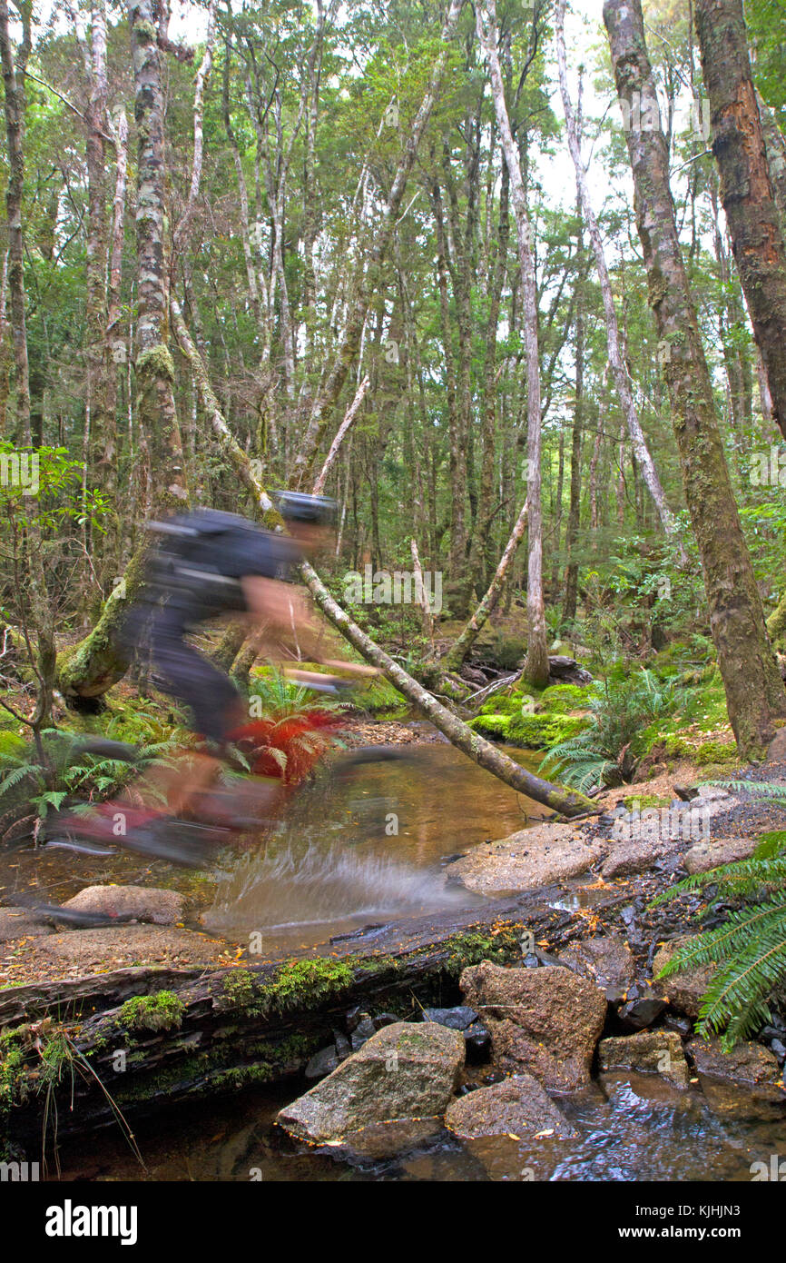 Derby mtb trail tasmania hi-res stock photography and images - Alamy