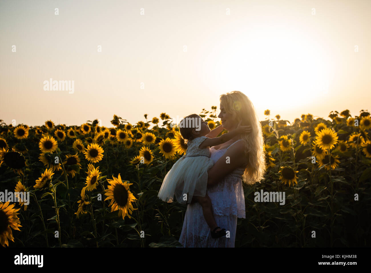 Happy mother hugs her daughter in a sunflower field, white clothes ...