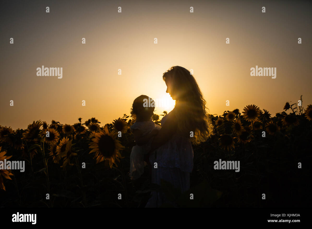 Happy mother hugs her daughter in a sunflower field, white clothes ...