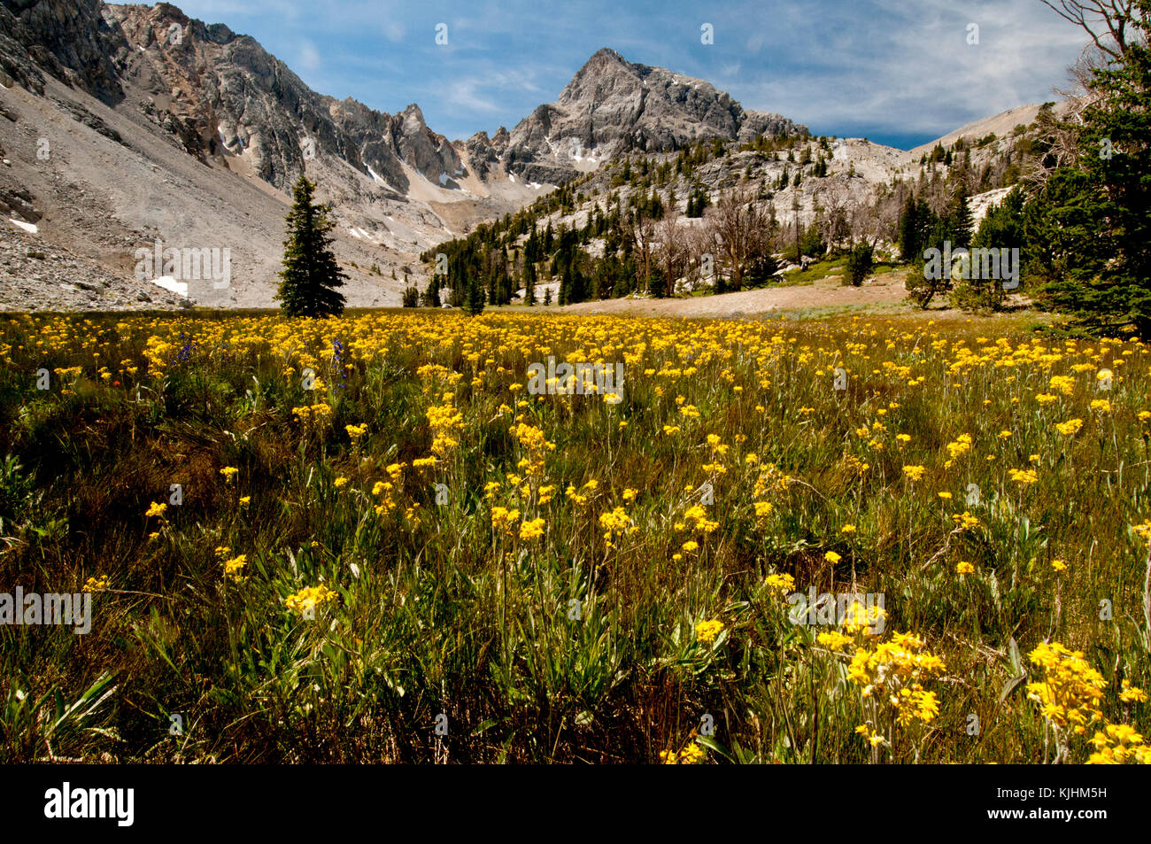 Mount Idaho in the Lost River Range, Idaho Stock Photo - Alamy