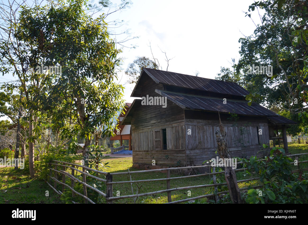 Different Styles Of Pua