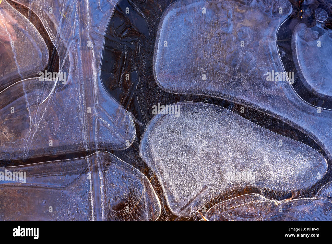 Beautiful winter background with a pattern of thin ice on a puddle in ...
