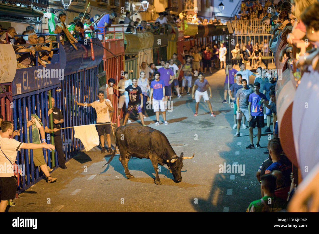 Bull run in the streets hi-res stock photography and images - Alamy