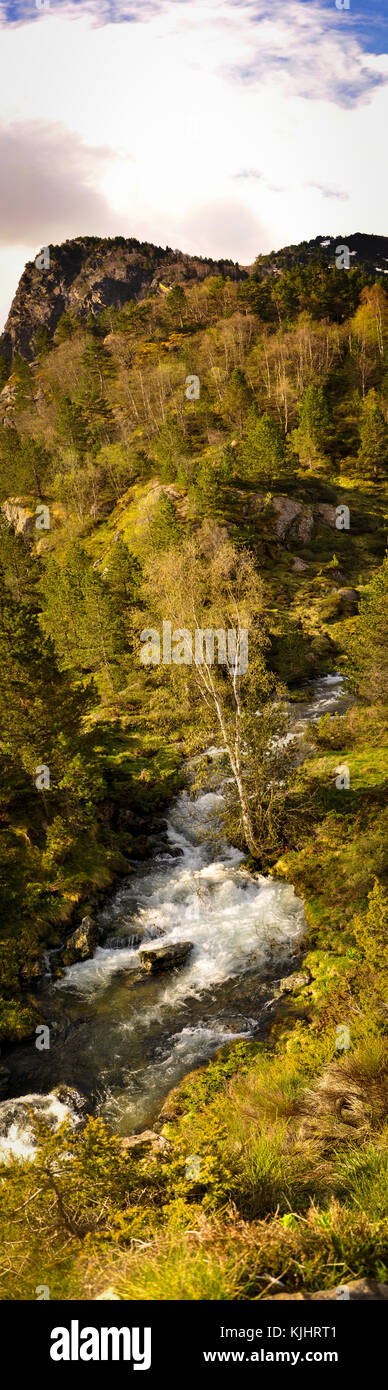 Shaken tree hi-res stock photography and images - Alamy