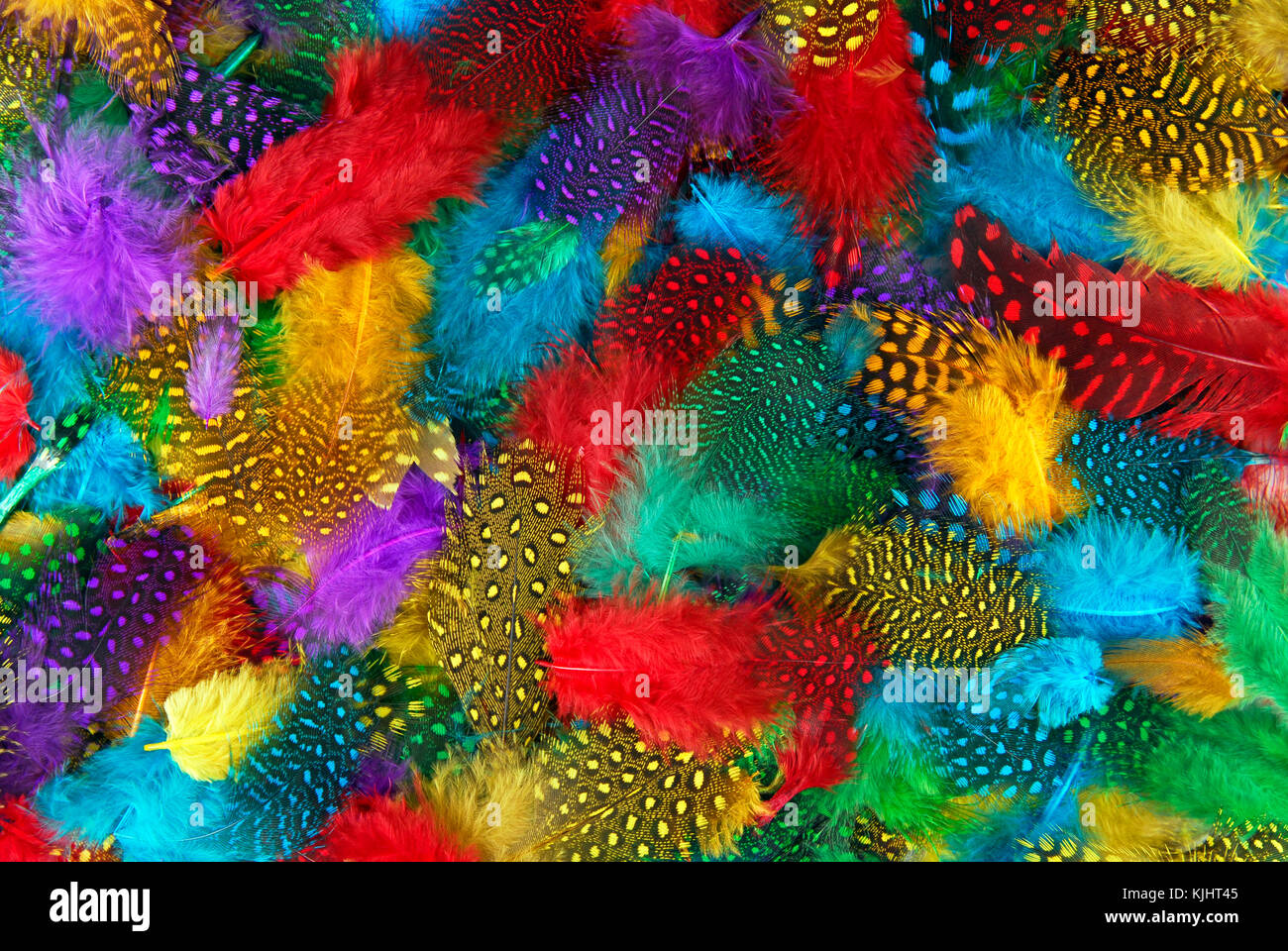 various color feather background Stock Photo - Alamy