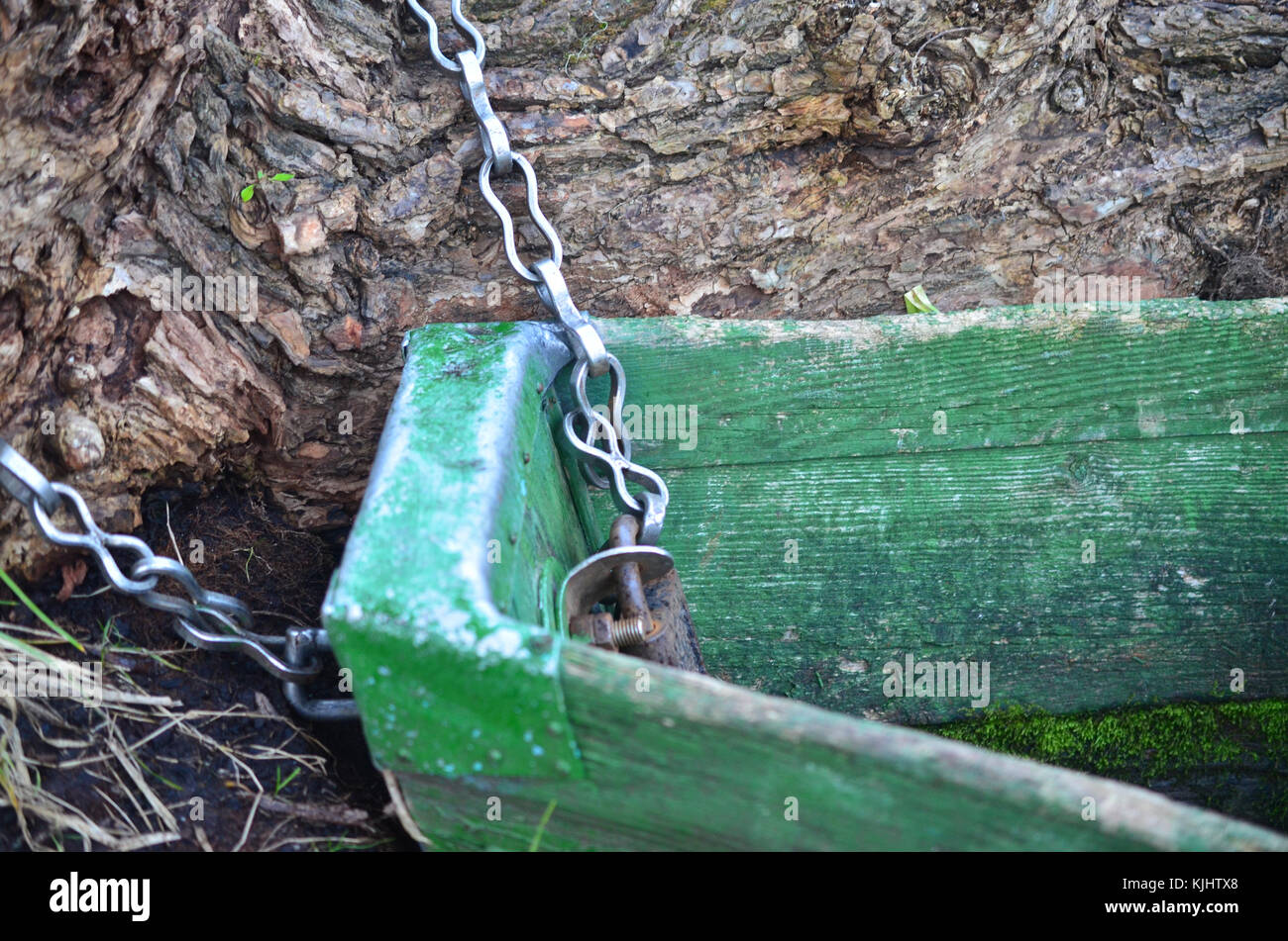 The old boat is tied to a tree trunk by a chain Stock Photo - Alamy
