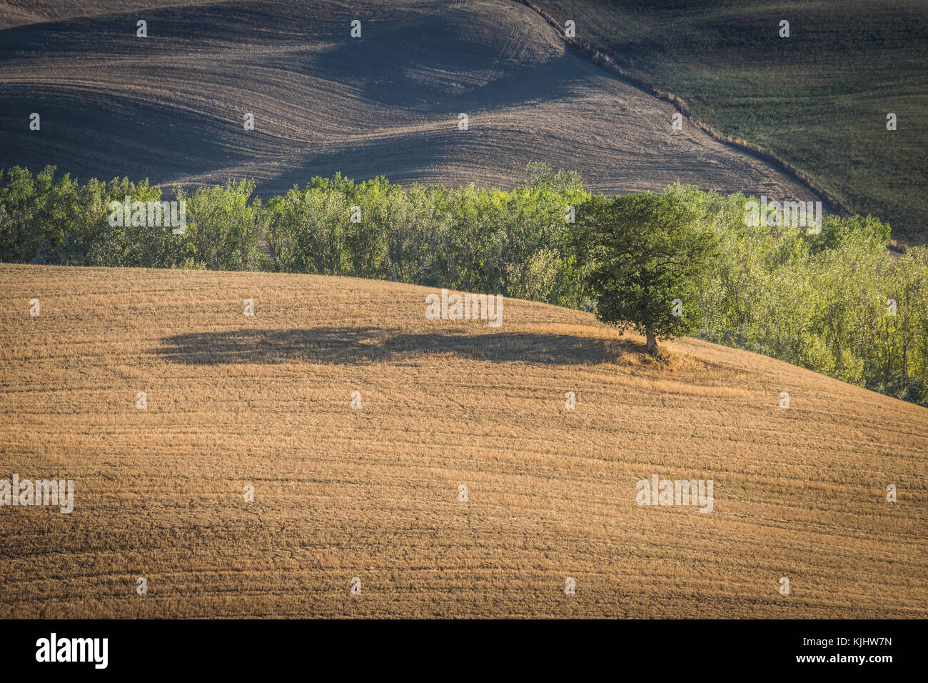 Beautiful nature landscape, the rolling hills of Tuscany, Italy with a ...