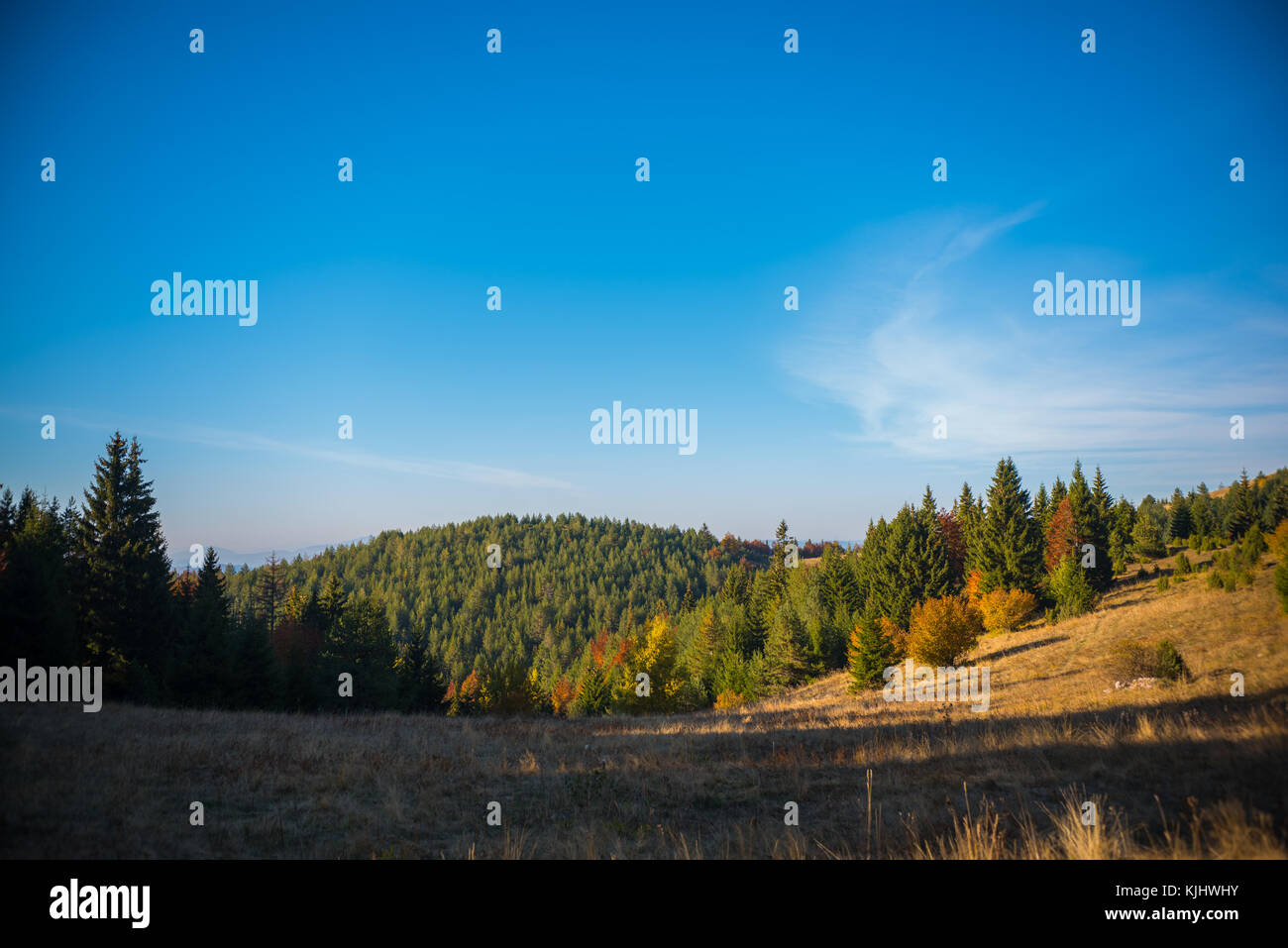Rural forest landscape, Bukovik, Sarajevo, Bosnia Stock Photo - Alamy