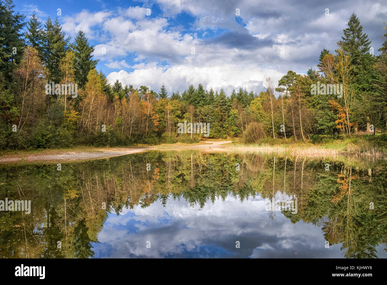 Hesel hi-res stock photography and images - Alamy