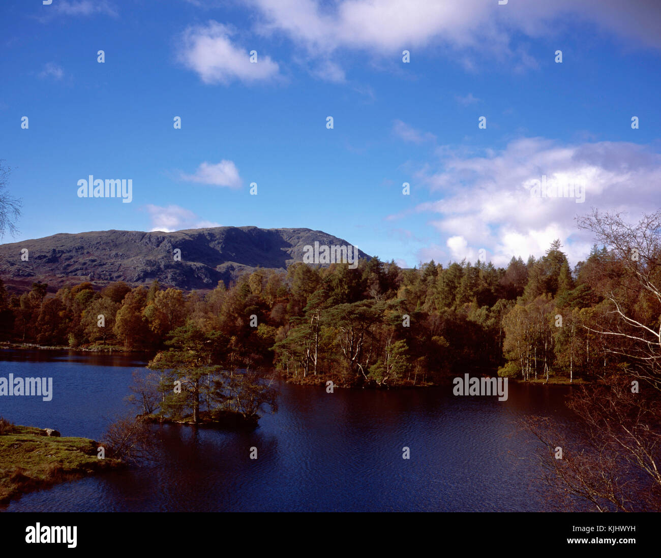 A view of Tarn Hows with The Old Man of Coniston and Wetherlam in the ...