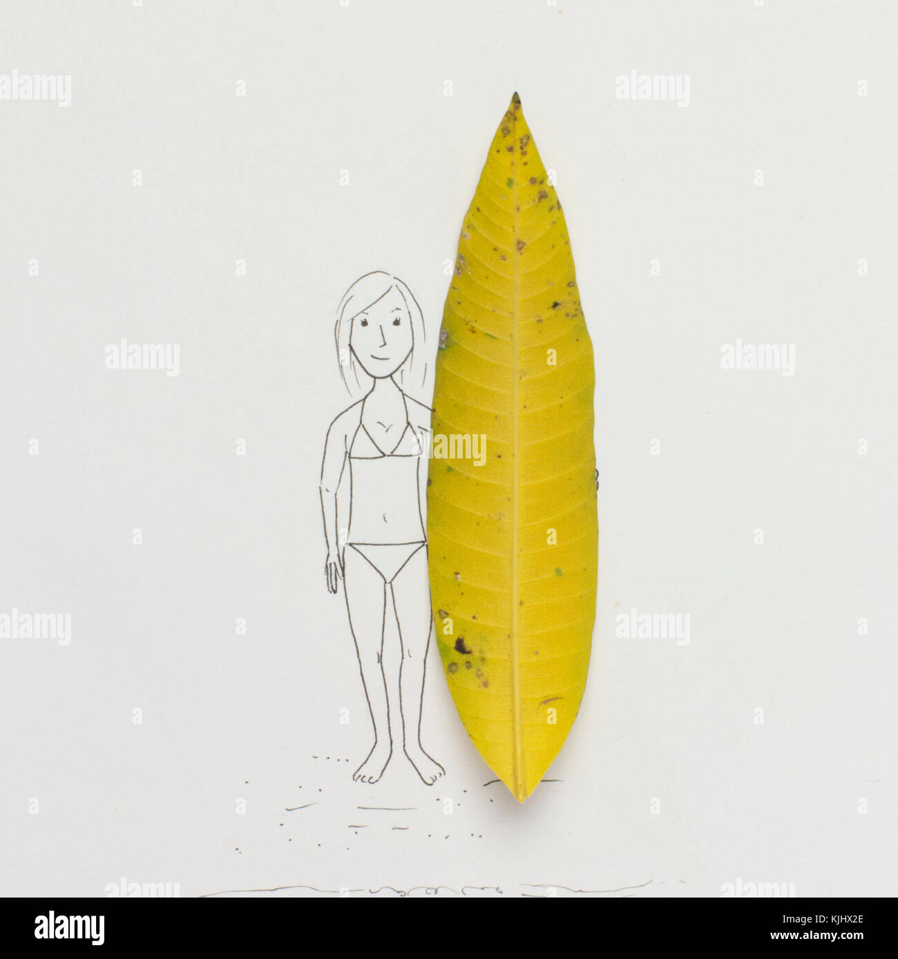 Surfer drawing hi-res stock photography and images - Alamy