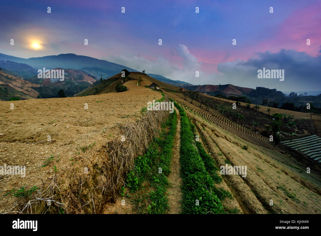 Terraced shallot fields, Argapura, Majalengka, west Java, Indonesia ...