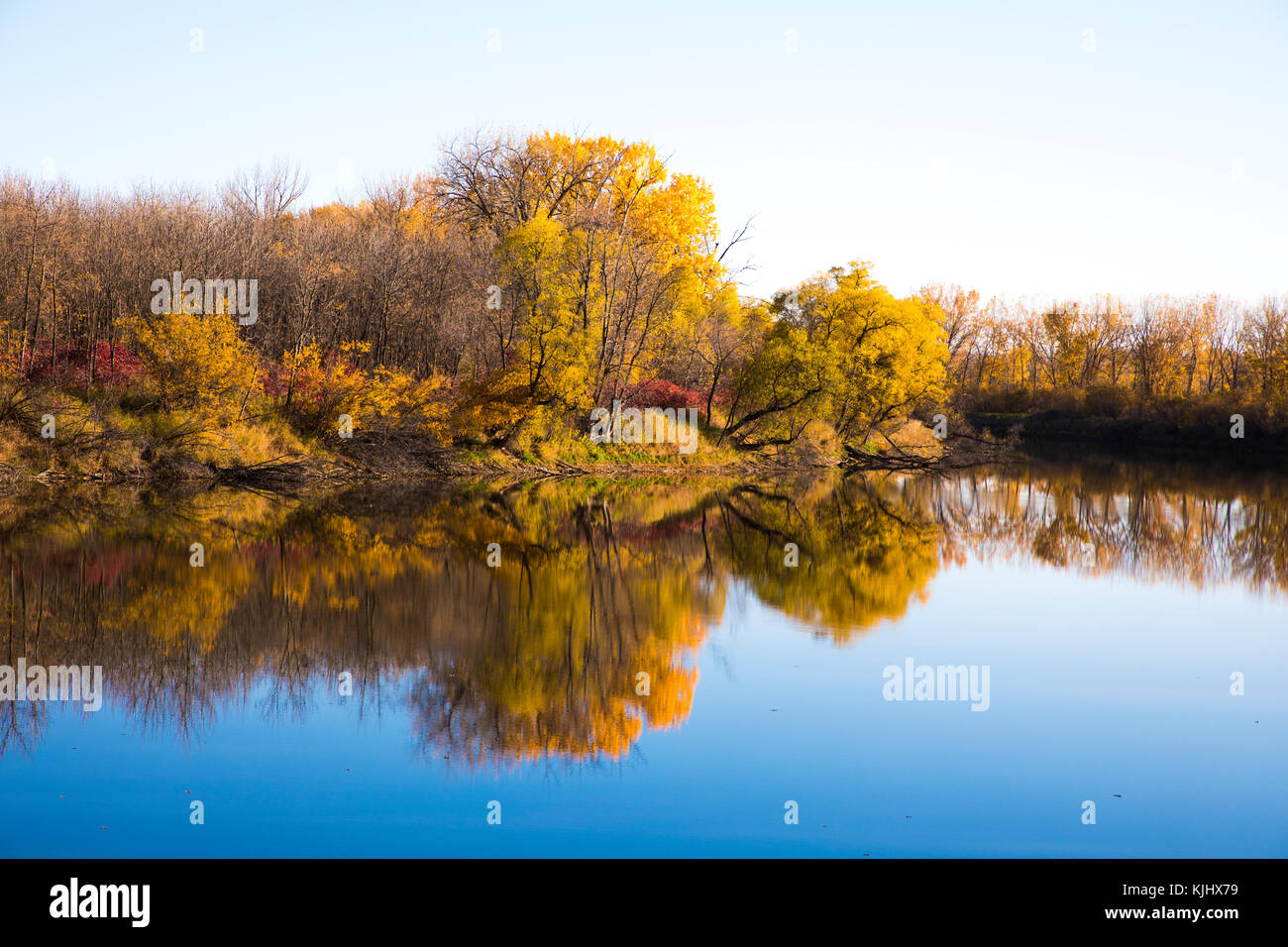 Canada landscape trees hi-res stock photography and images - Alamy