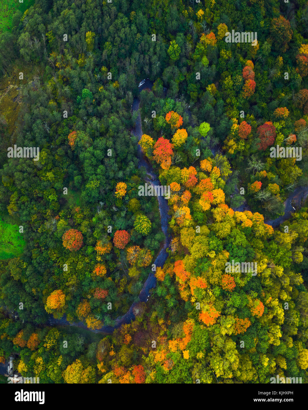 Drone photo of colorful trees in Lithuania, Europe Stock Photo - Alamy